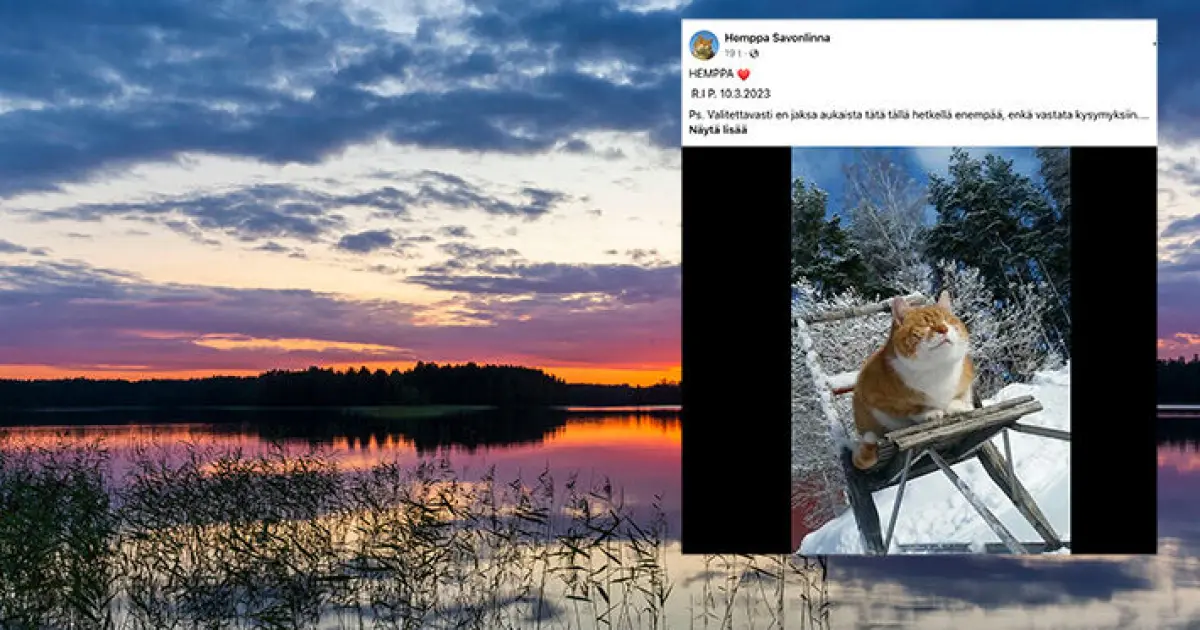 Suomen kuuluisin somekissa Hemppa on kuollut | Seiska