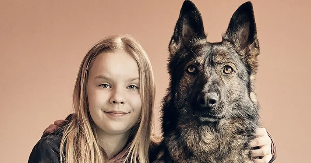 Susikoira Roista tulee uusi elokuvaversio – pääosassa Tipi-koira | Katso