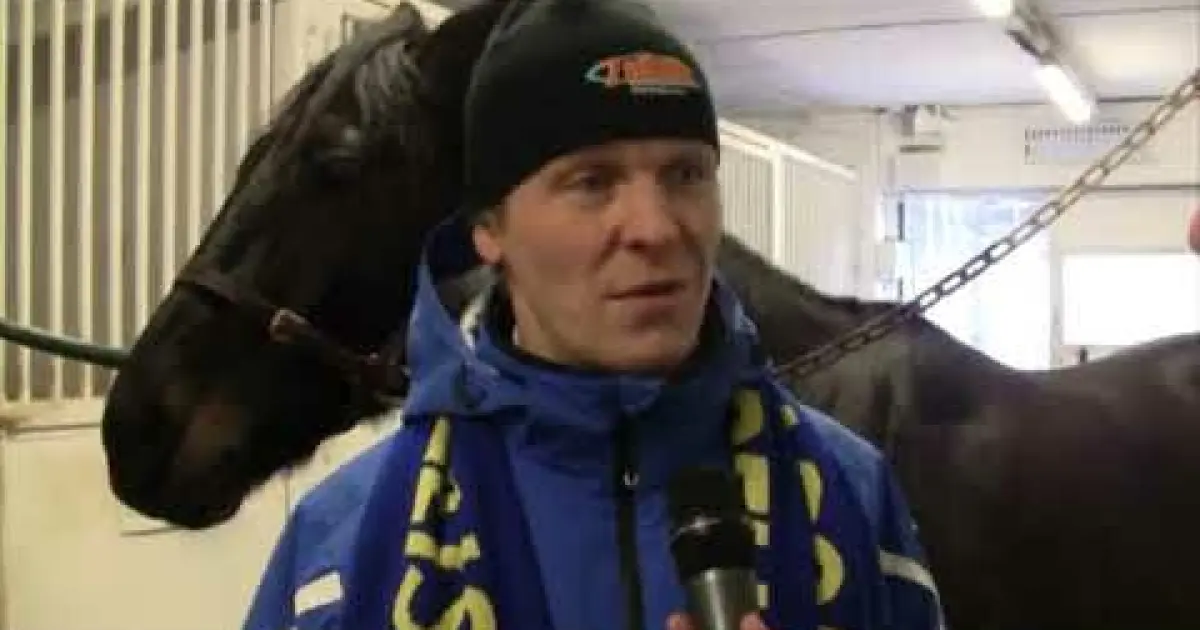 Toni Nieminen tuntee huippuhevoset: Luonne ja tahto ratkaisevat!