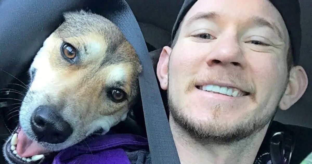 Rescue-koira Arghh hyökkäsi omistajansa kimppuun – eläinlääkäriltä ...