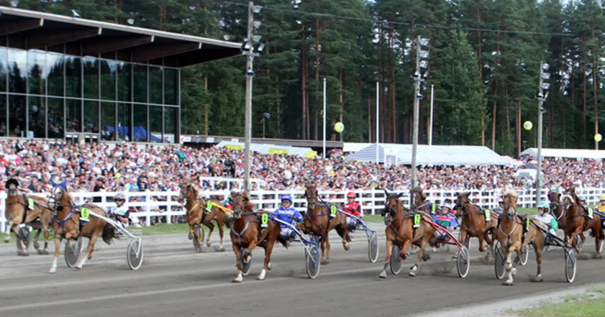 Koe vauhdin hurmaa ja suuria tunteita raviradalla!